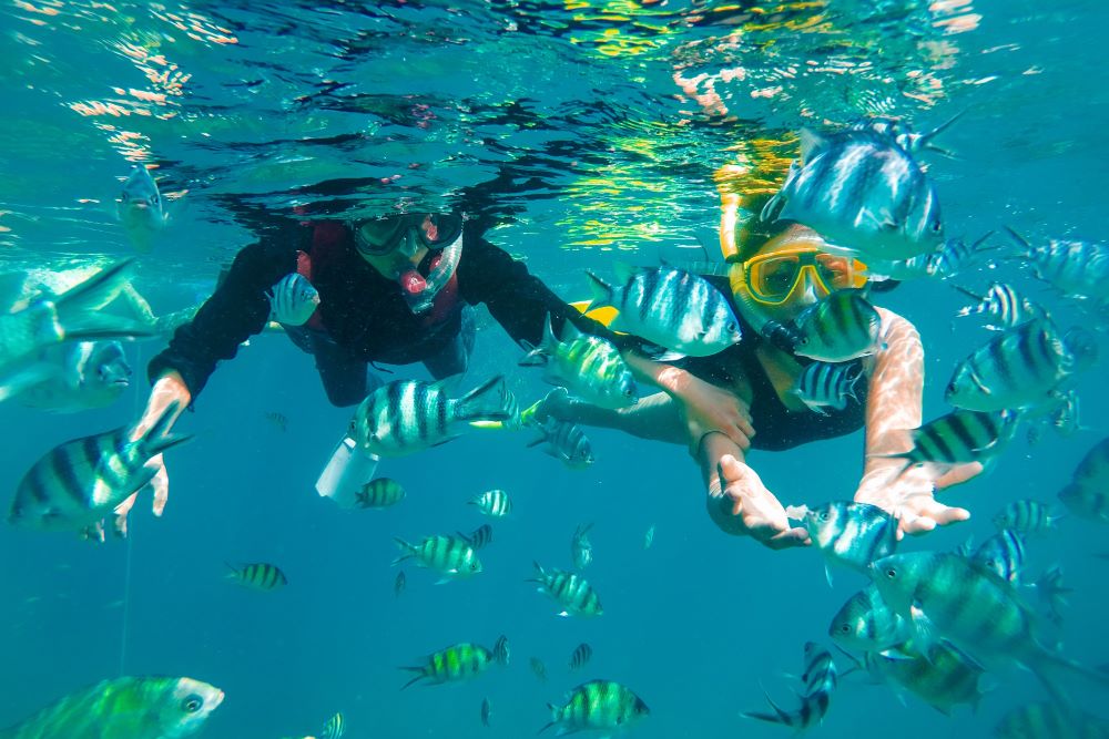 나트랑 여행, 중남부 베트남 여행의 파라다이스 (+나트랑 여행 꿀팁)