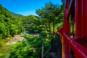 백두대간협곡열차 ‘V-TRAIN’, 만 원대로 즐기는 국내 스위스 기차여행